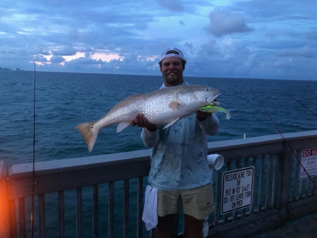 Tarpon Bite