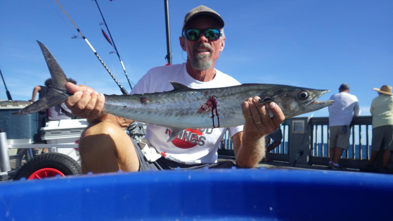 Tarpon Bite