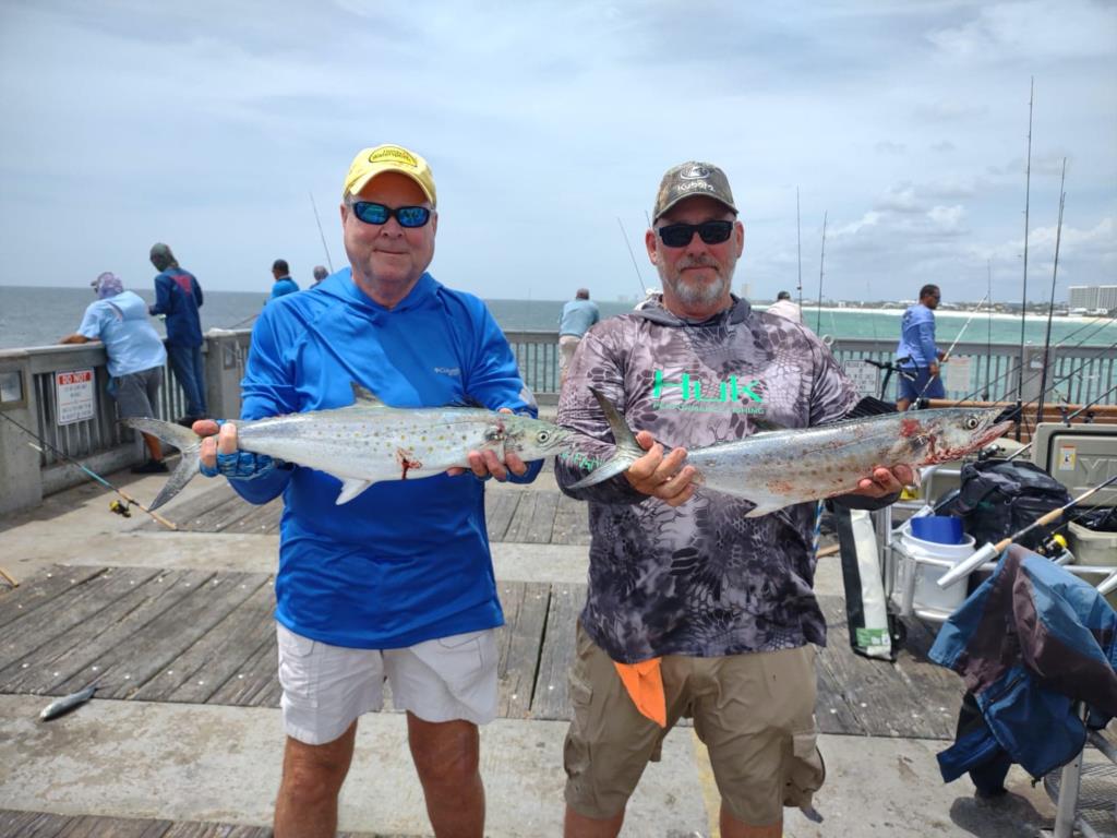 Cobia Tournament