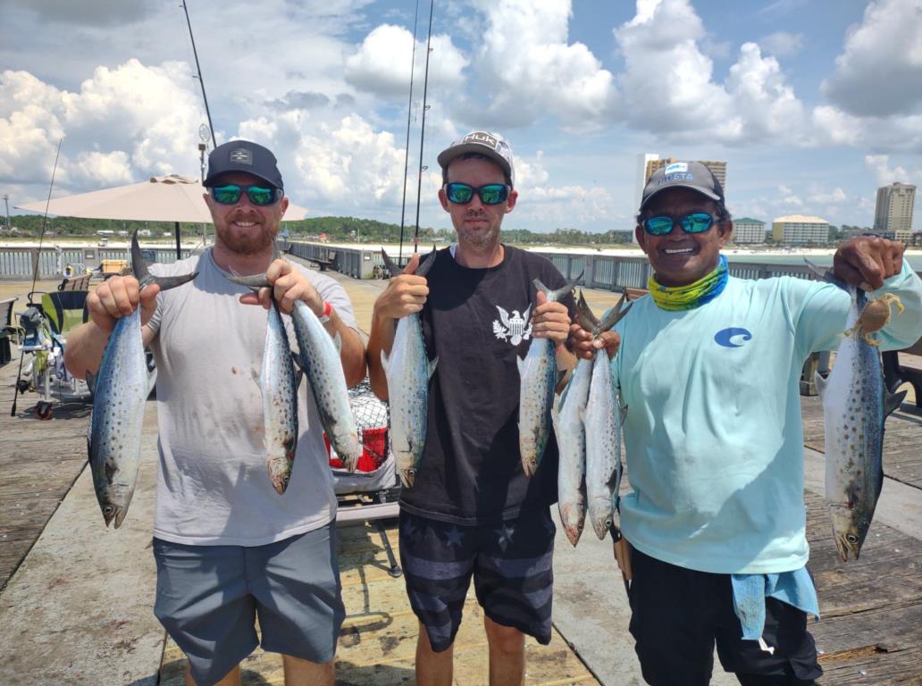 Panama City Beach Labor Day Fishing Report